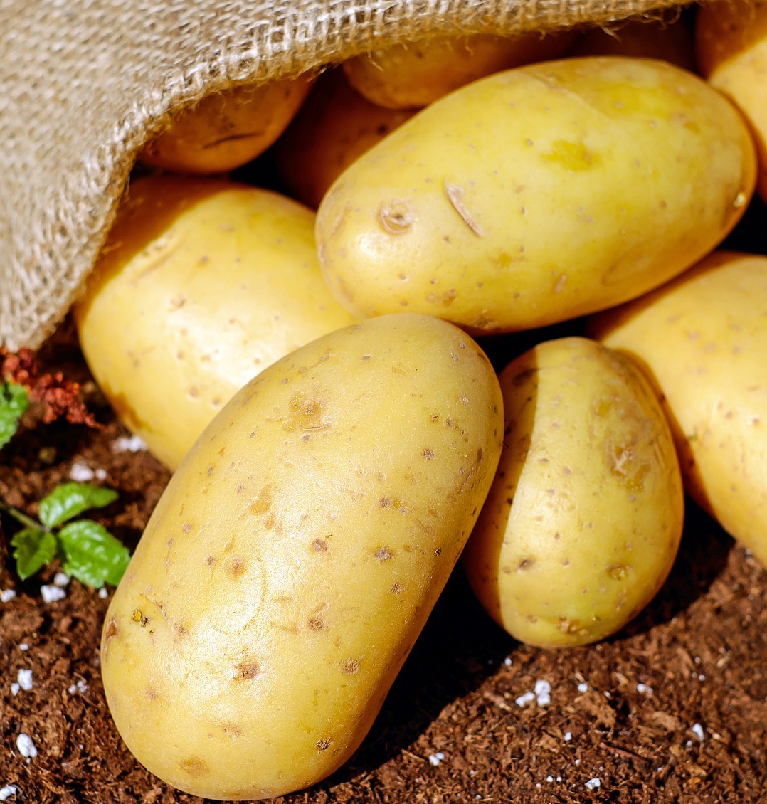 Sicilian New Potato - Azienda Scollo Sebastiana