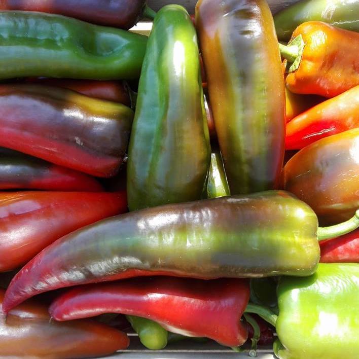 Sicilian peppers: give a special touch to your recipes