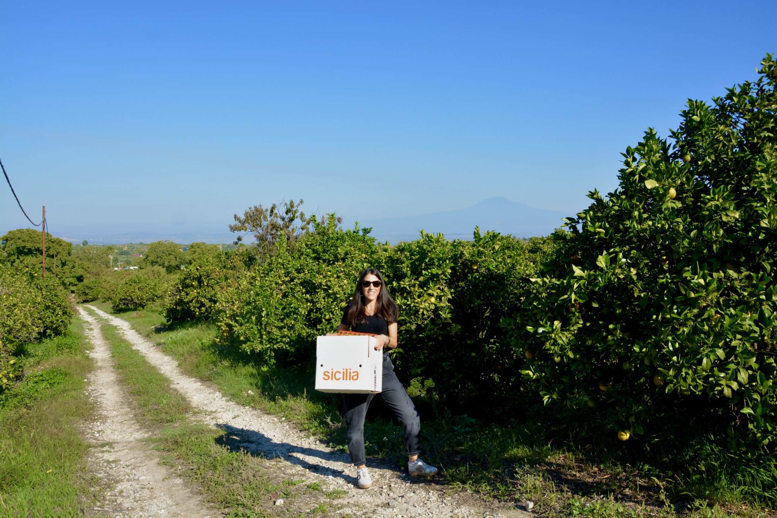 Agrumi biologici: dall'albero alla tua tavola - Azienda Scollo
