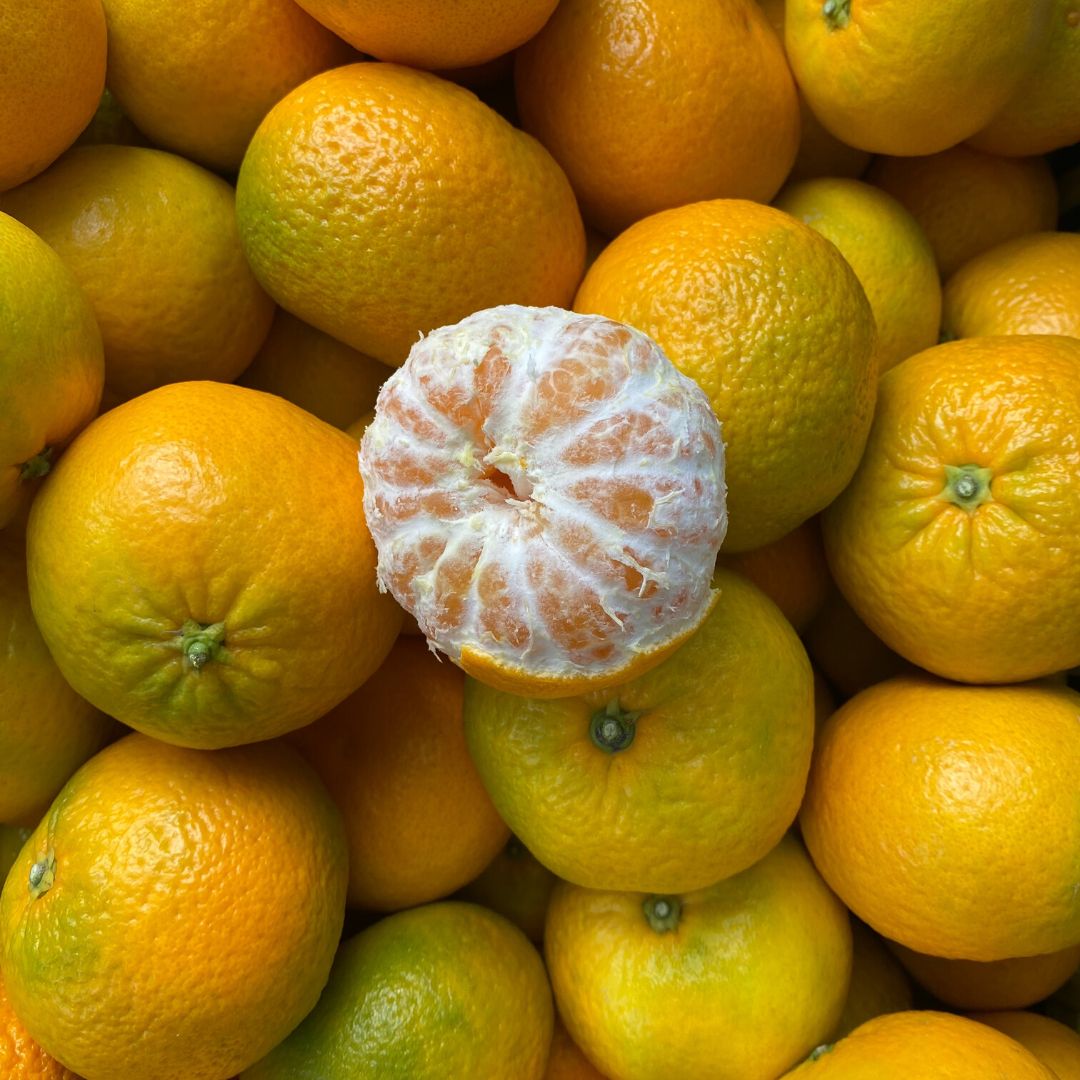 Agrumi biologici: dall'albero alla tua tavola - Azienda Scollo